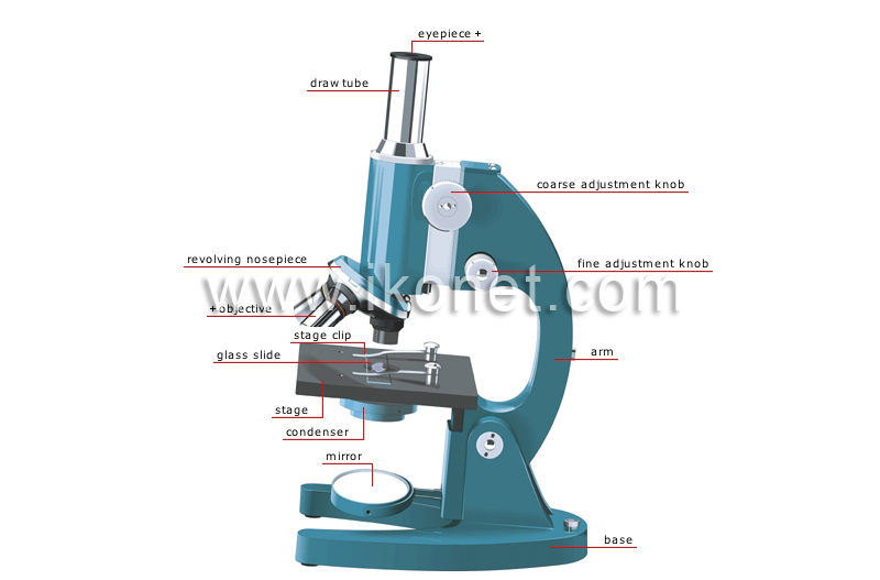 Function Of Draw Tube In Compound Microscope At Nathaniel Ackerman Blog Function Of Draw Tube In Compound Microscope At Nathaniel Ackerman Blog